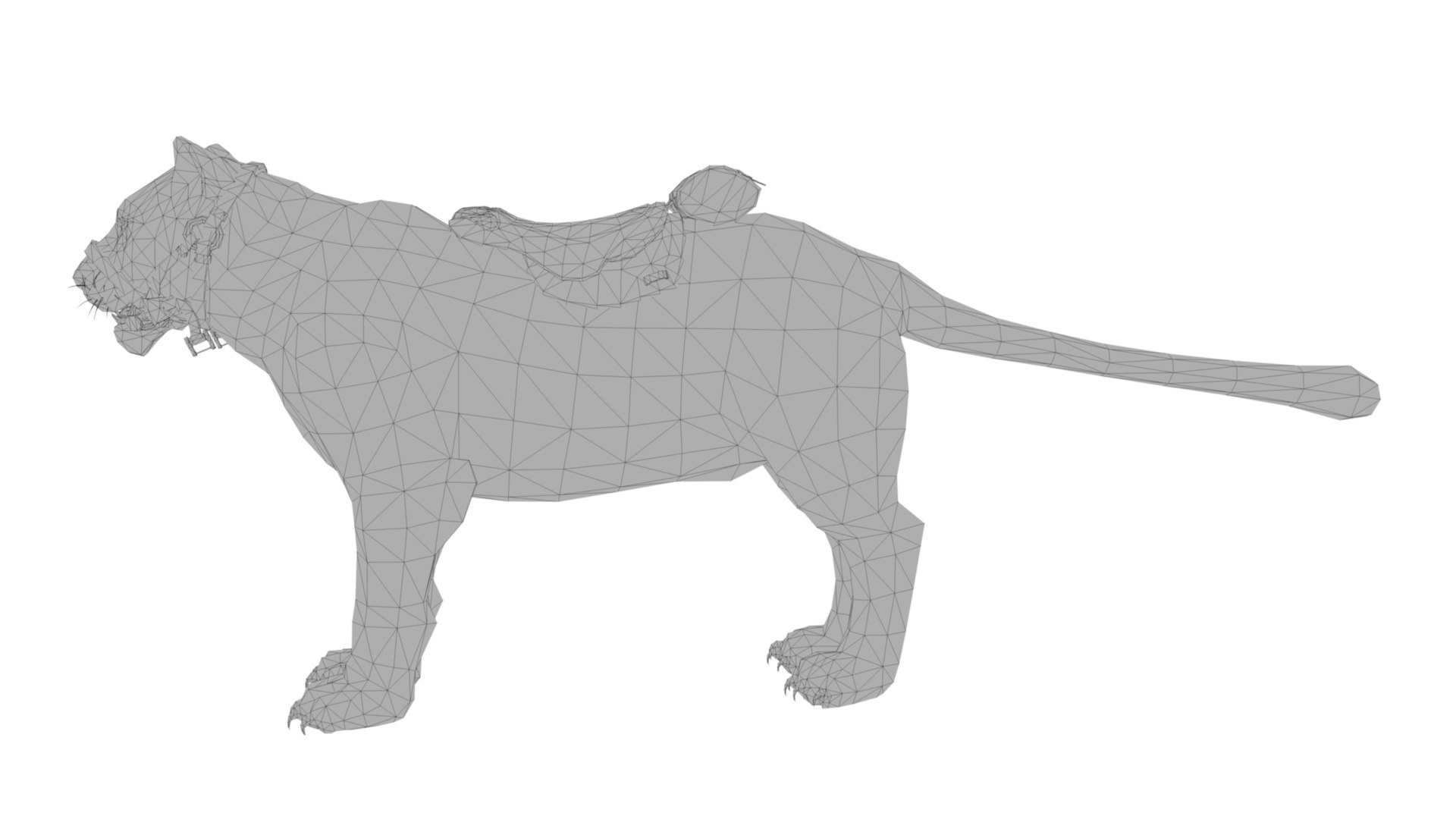 Lioness 3D Model - TurboSquid 1947009