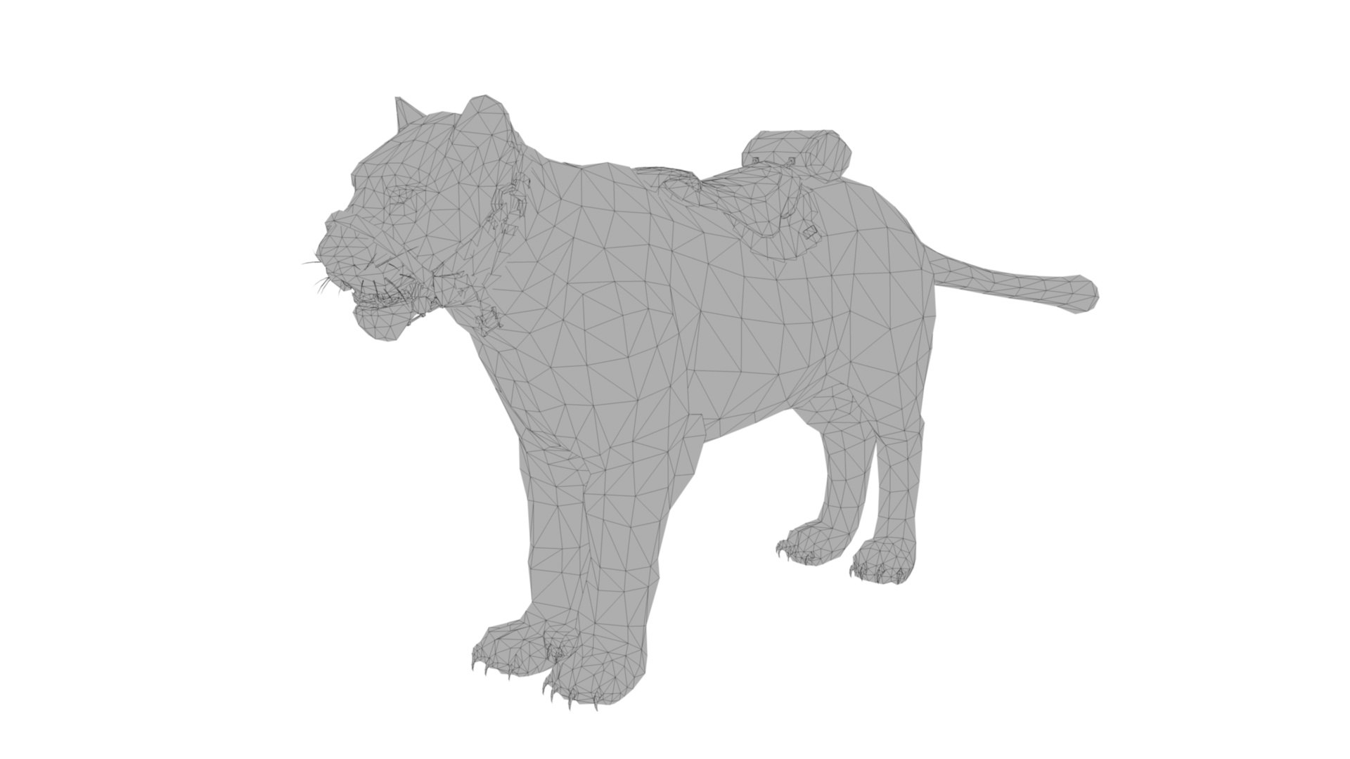 Lioness 3D Model - TurboSquid 1947009