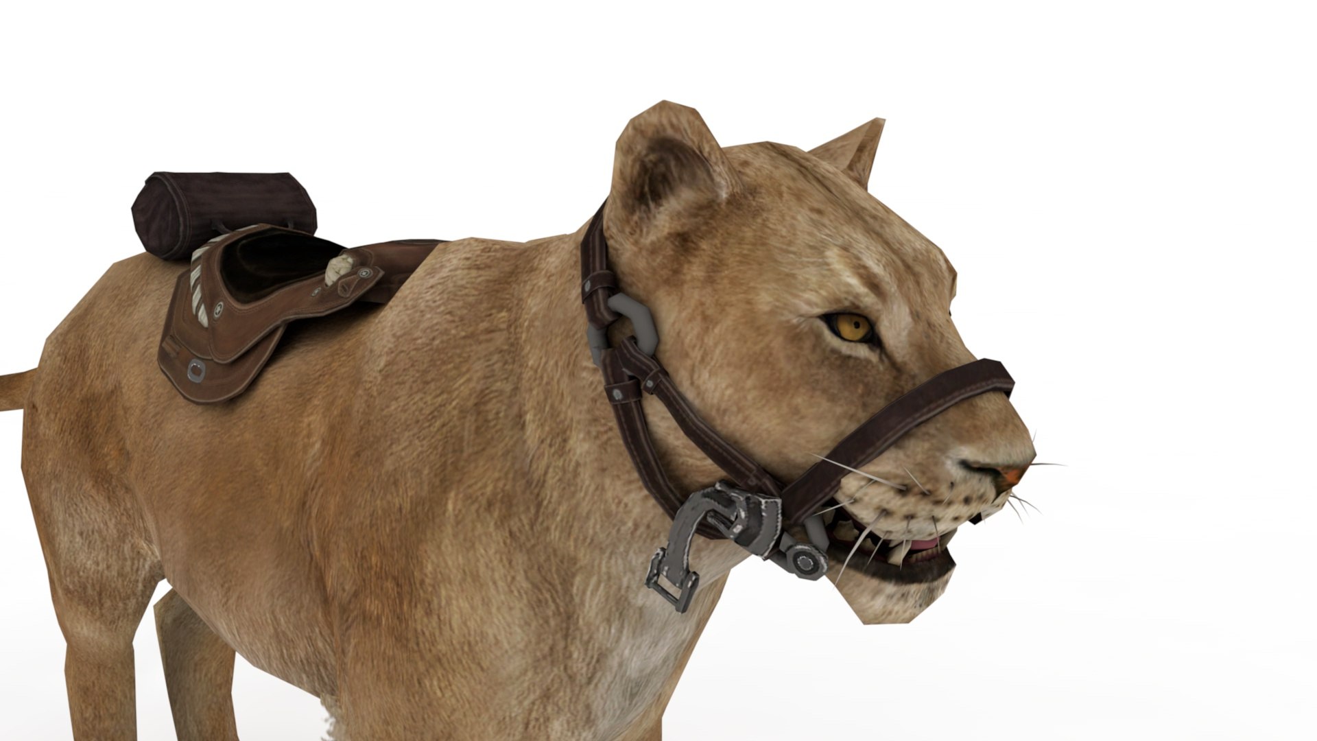 Lioness 3D Model - TurboSquid 1947009