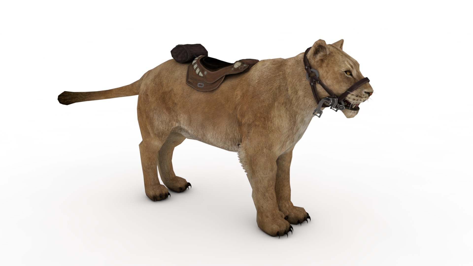 Lioness 3D Model - TurboSquid 1947009