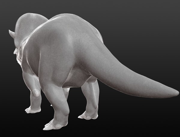 3D model Turanoceratops - TurboSquid 1732656