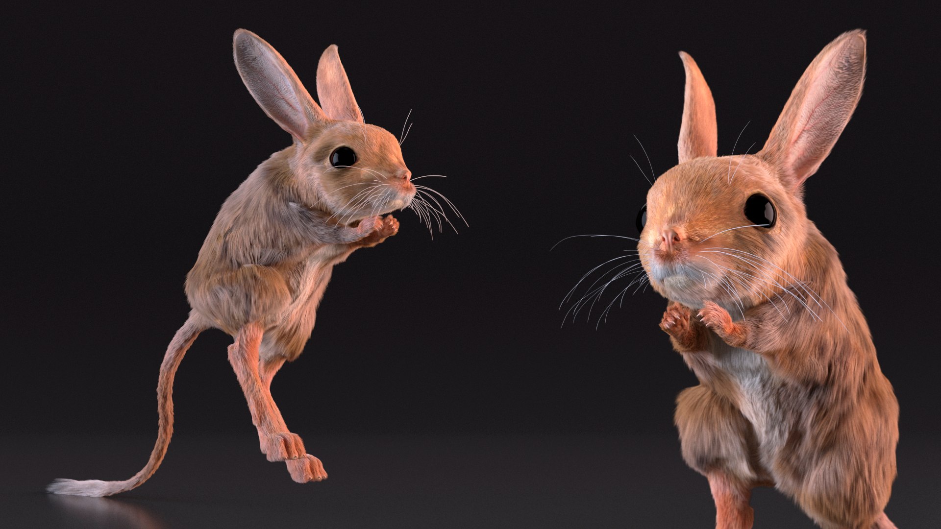 Jumping Jerboa Fur 3D - TurboSquid 2197353