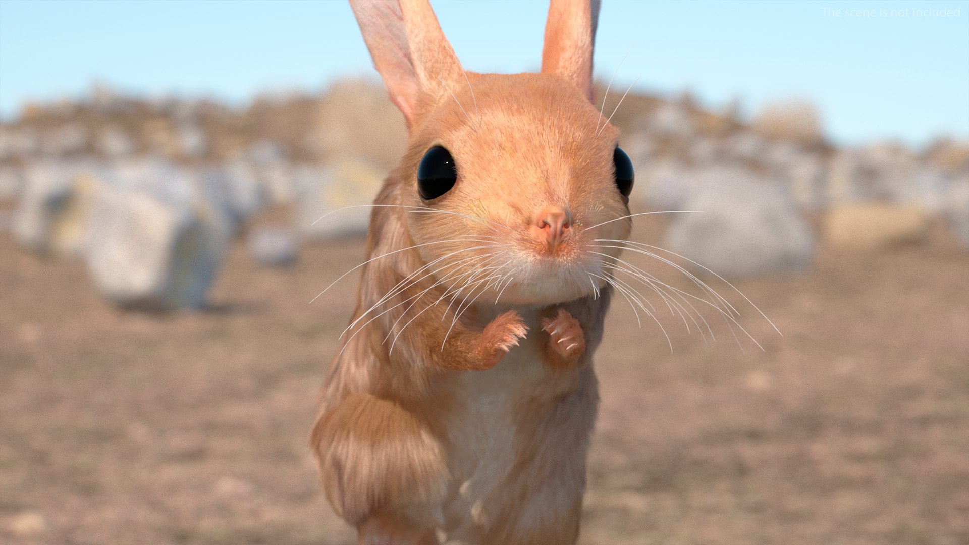 Jumping Jerboa Fur 3D - TurboSquid 2197353