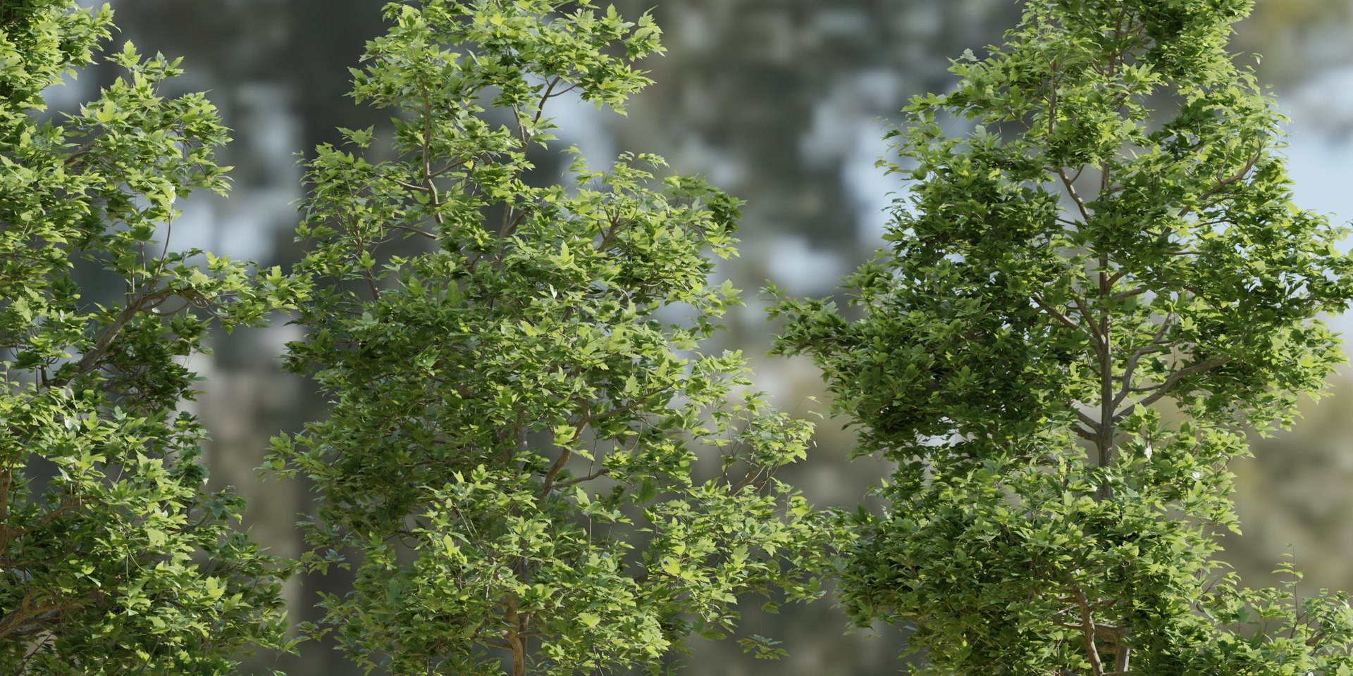 3D Trees Collection Vol 189-Blender-3dmodel Model - TurboSquid 2166477