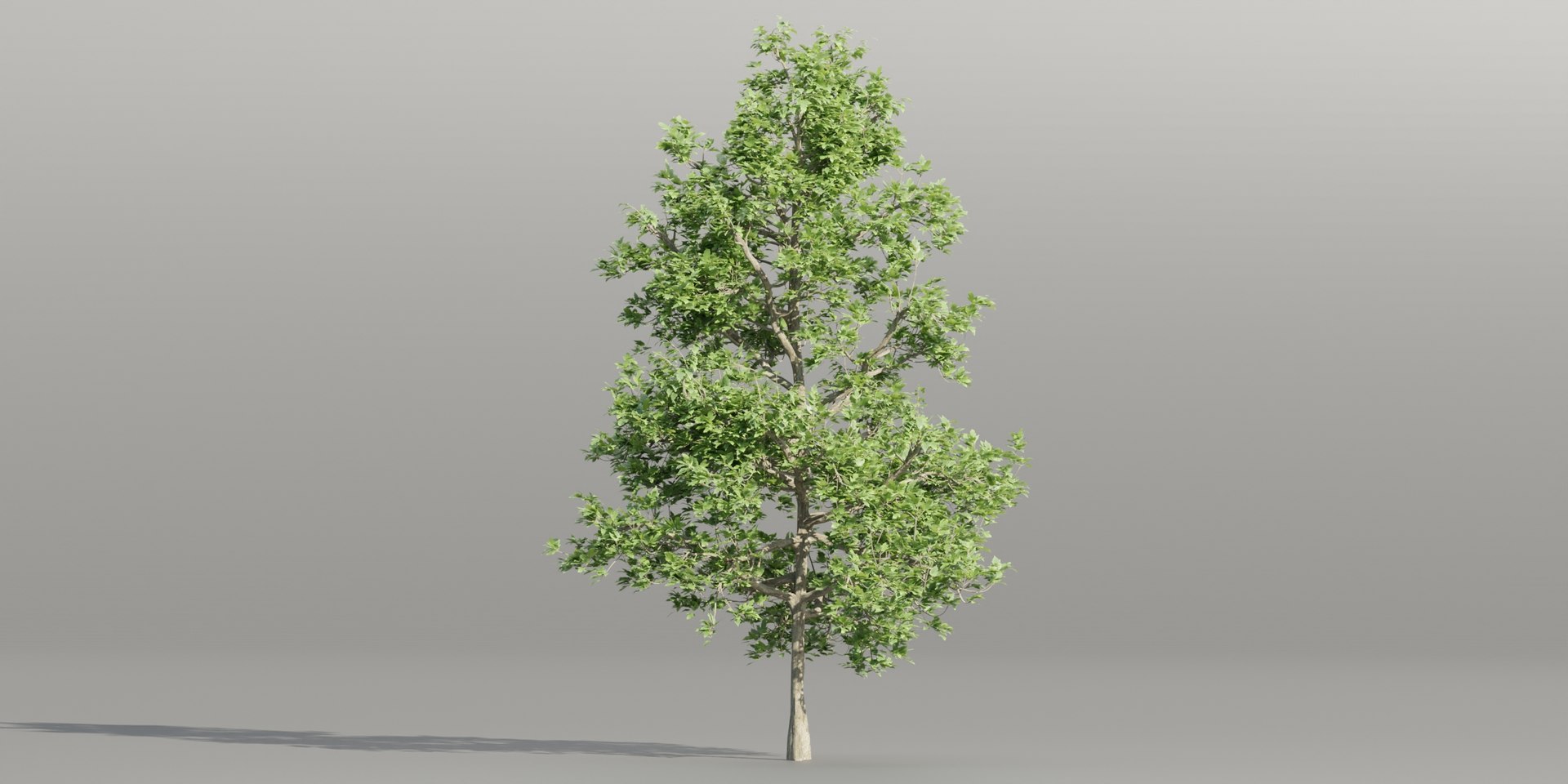 3D Trees Collection Vol 189-Blender-3dmodel Model - TurboSquid 2166477