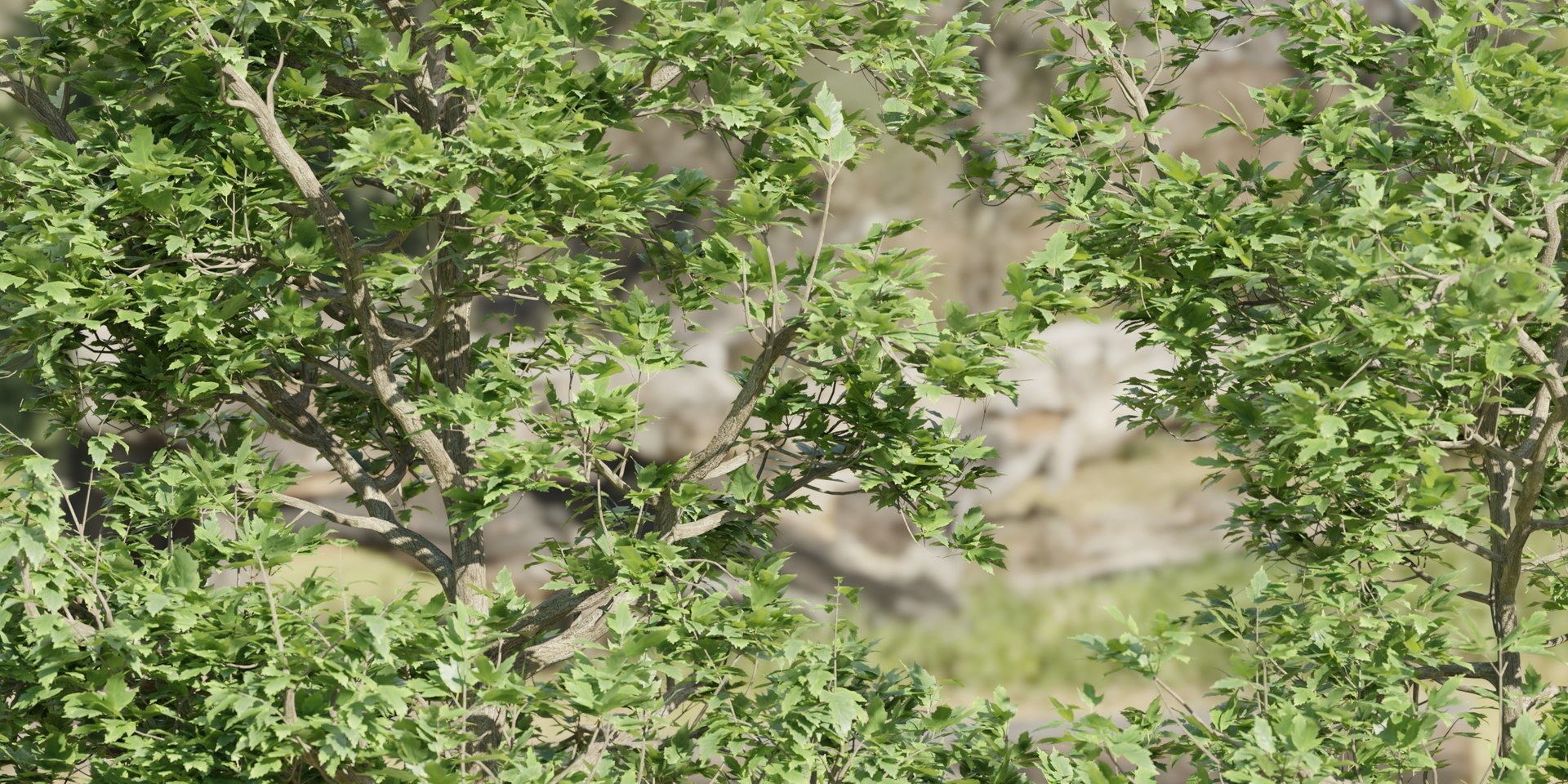 3D Trees Collection Vol 189-Blender-3dmodel Model - TurboSquid 2166477