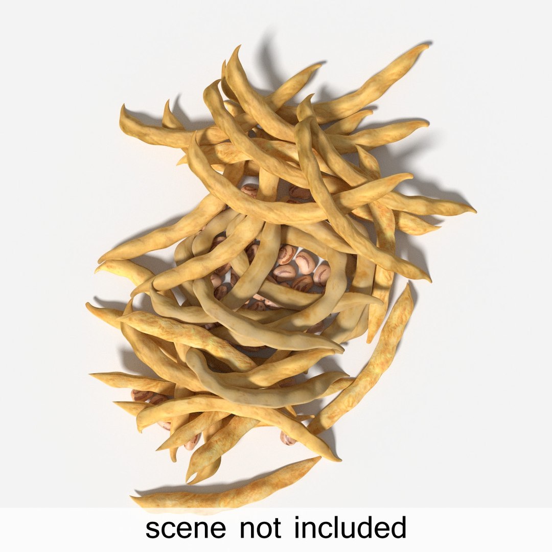 Dried Beans 3d Model