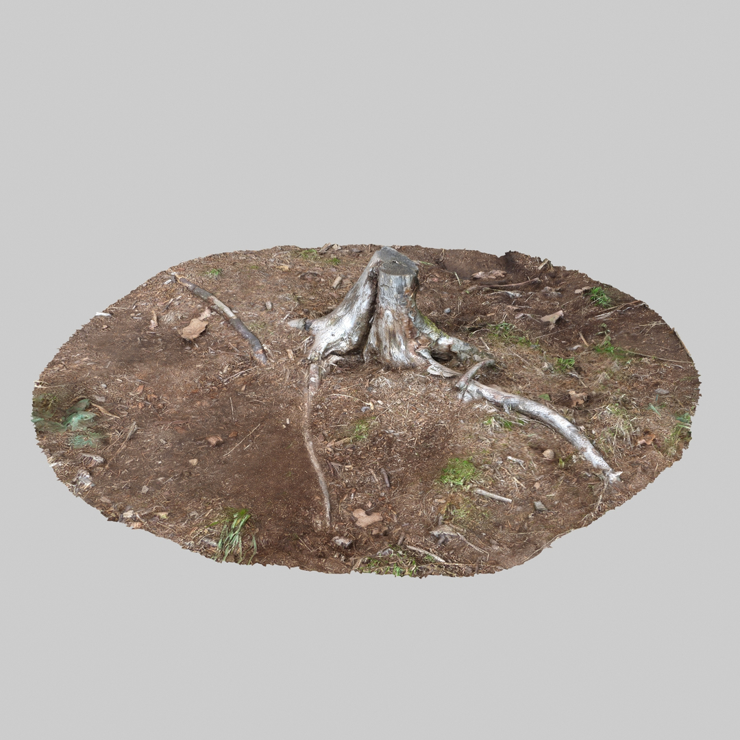 photogrammetry scan 3d max