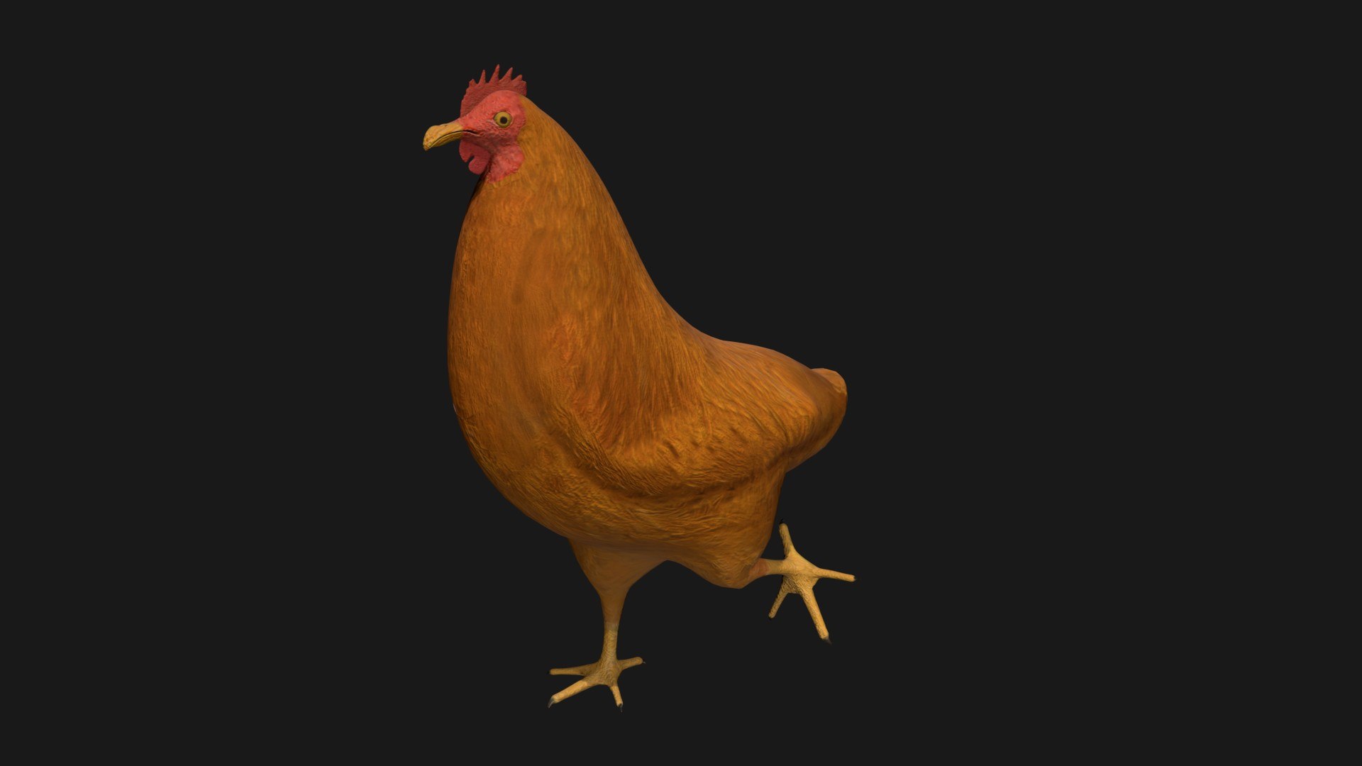 Chicken Rigged 3D Model - TurboSquid 1664738