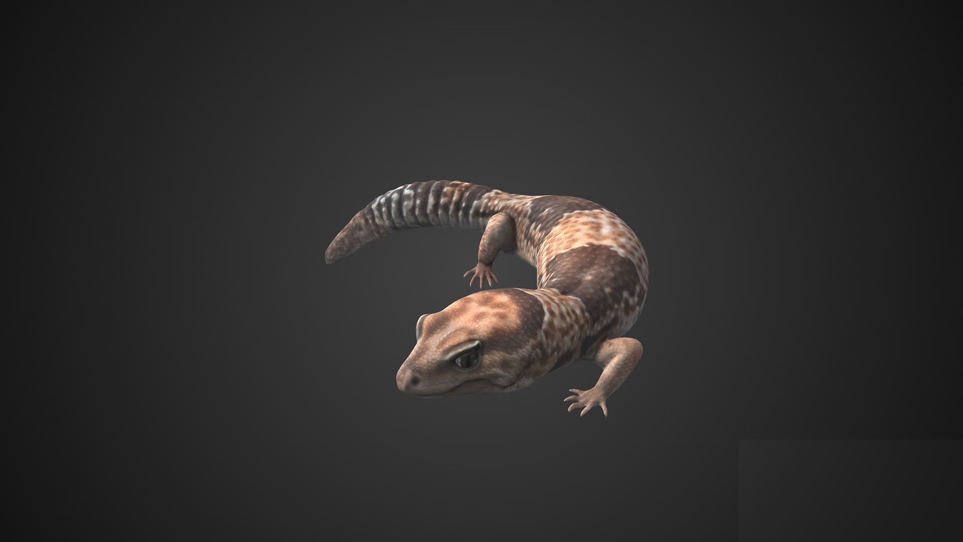 3D Game Ready Lizard Model - TurboSquid 2074014