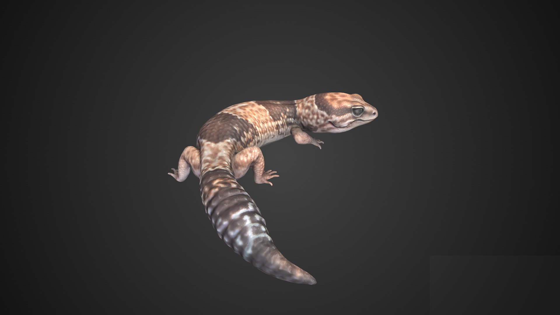 3D Game Ready Lizard Model - TurboSquid 2074014
