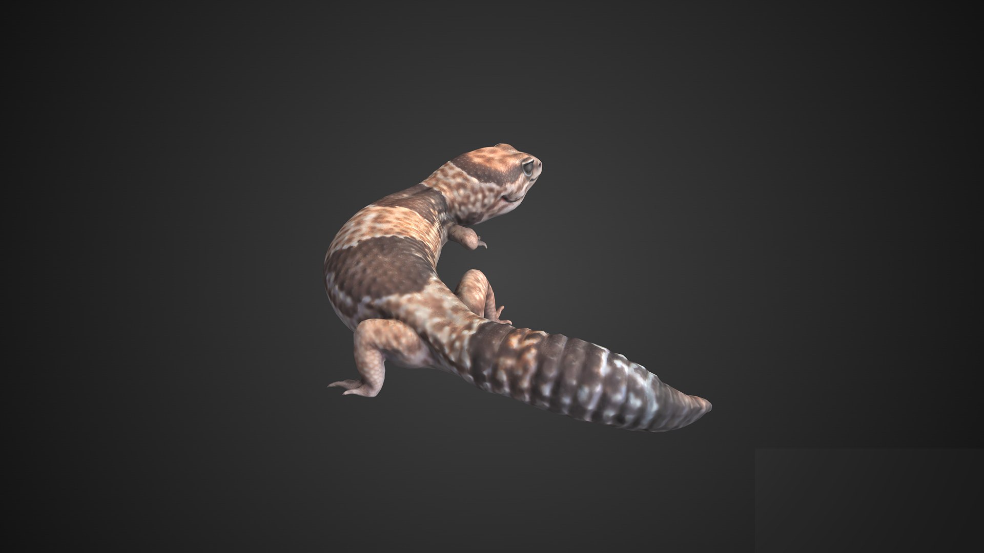 3D Game Ready Lizard Model - TurboSquid 2074014