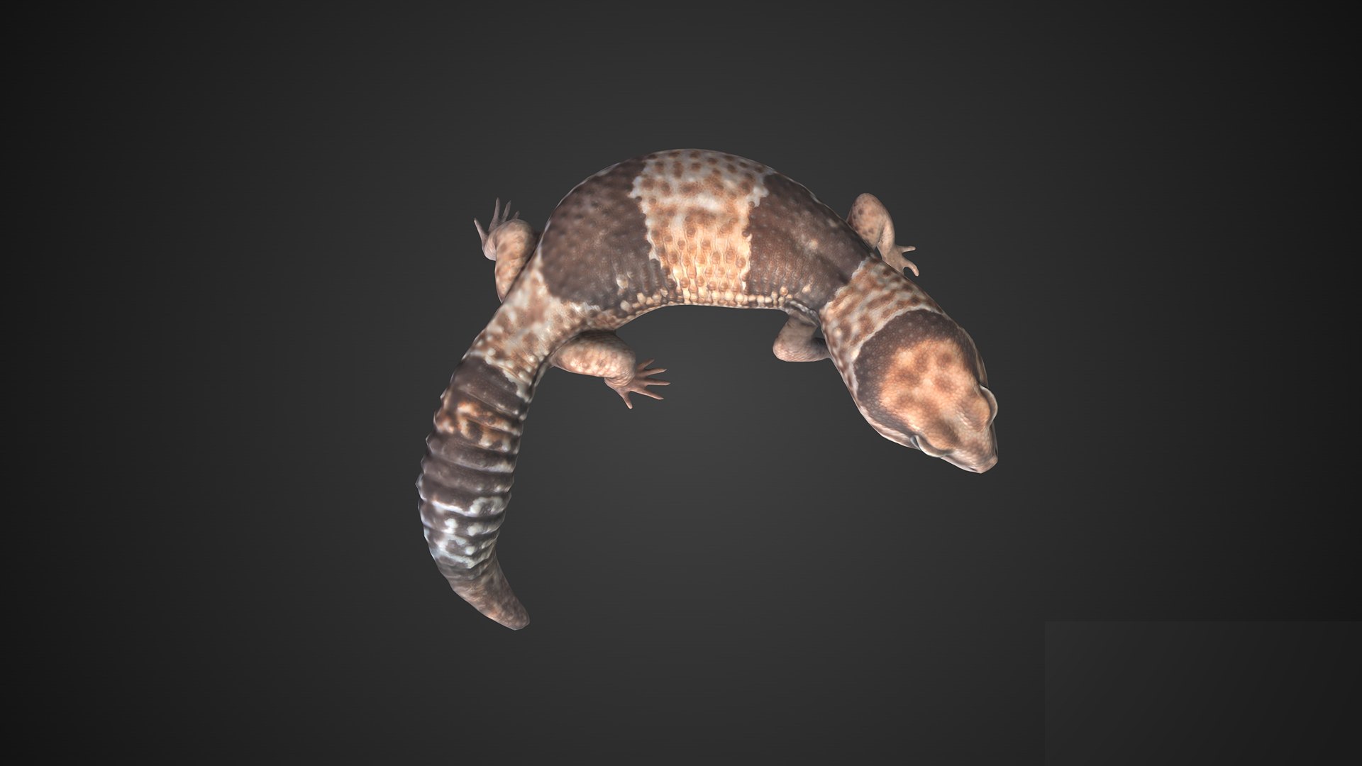 3D Game Ready Lizard Model - TurboSquid 2074014