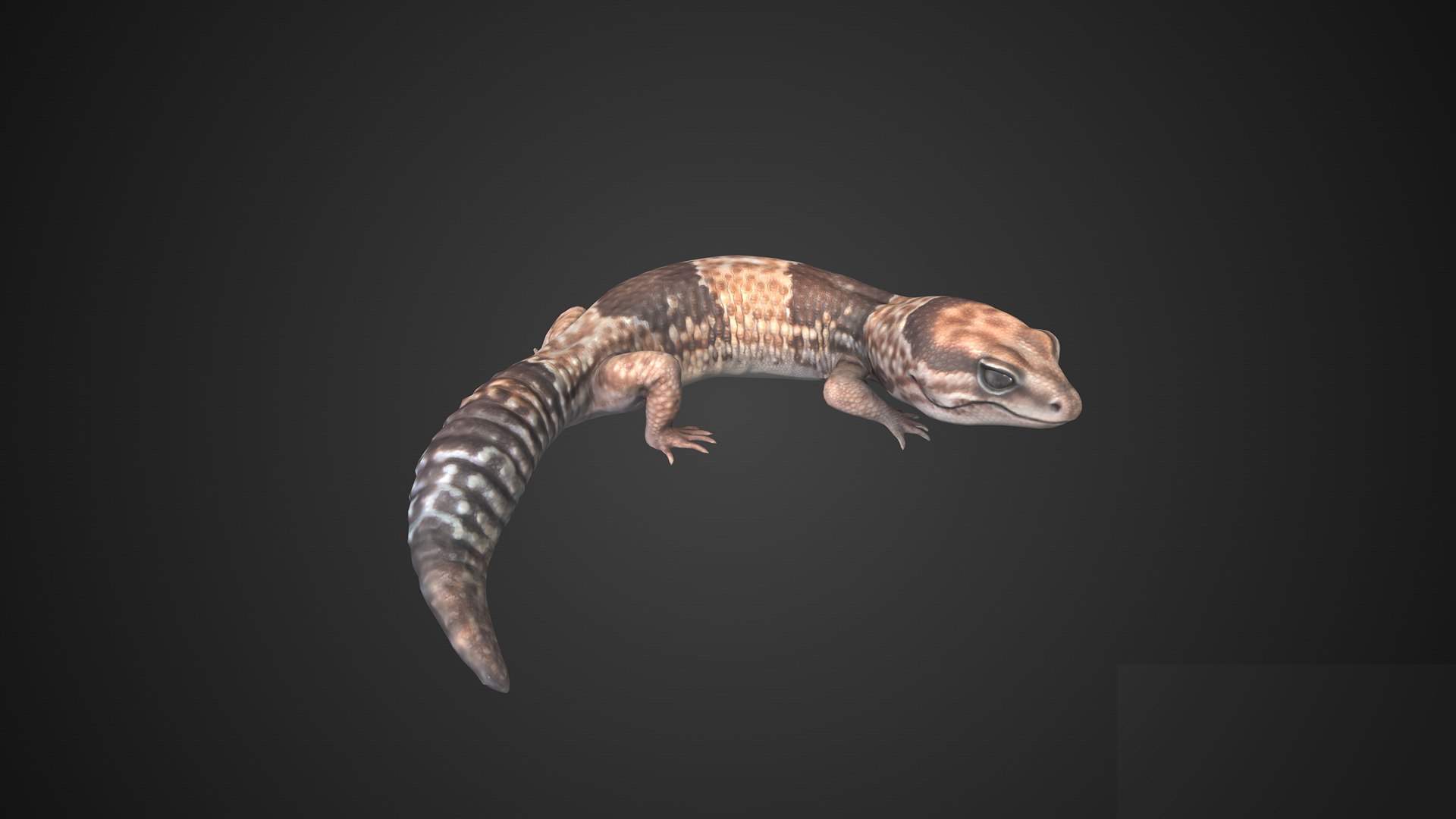 3D Game Ready Lizard Model - TurboSquid 2074014