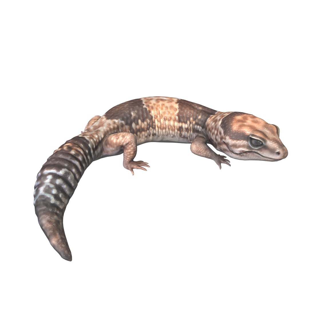 3D Game Ready Lizard Model - TurboSquid 2074014