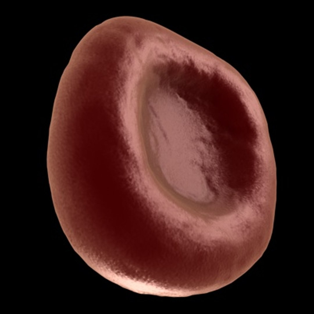 C4d Blood Cell