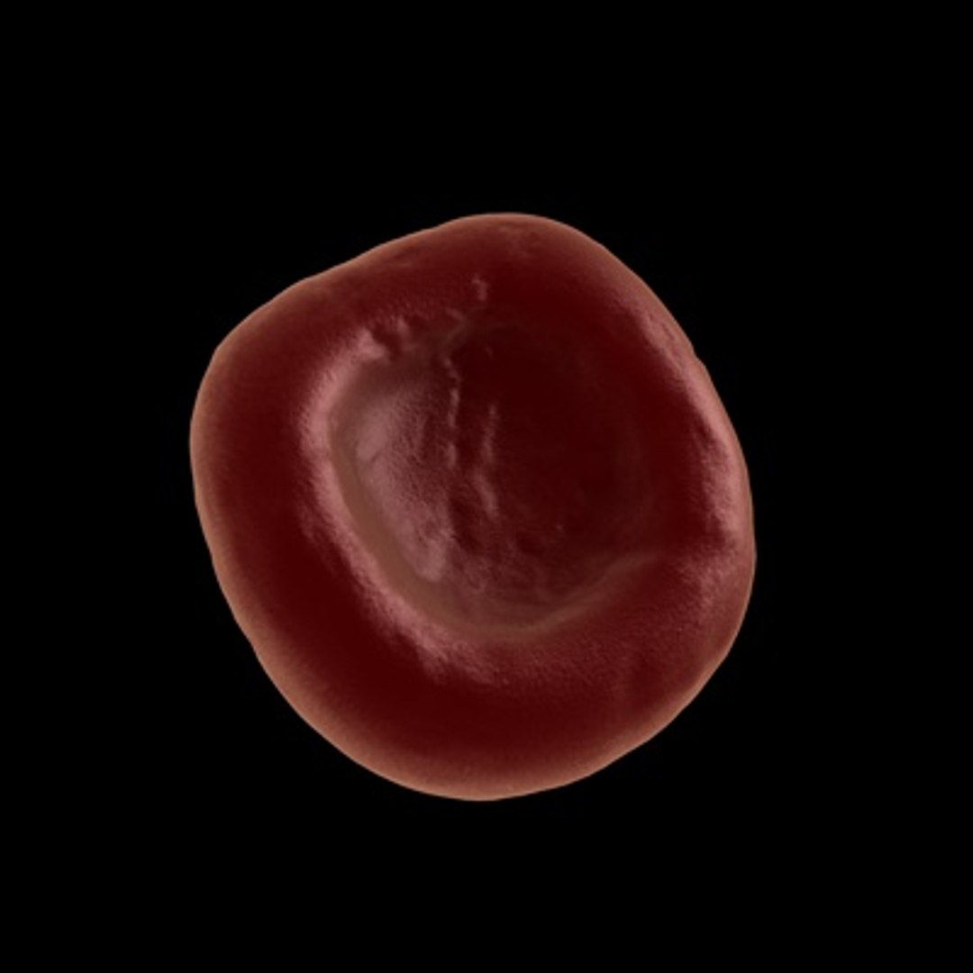 C4d Blood Cell