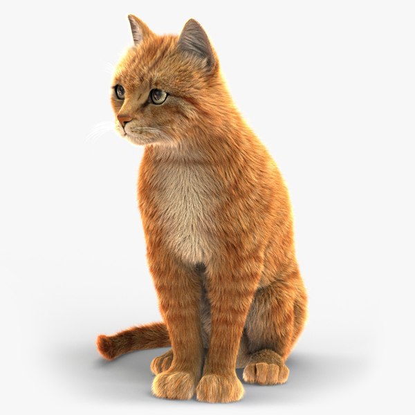 3d model cat orange tabby fur