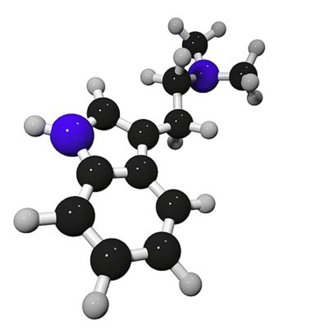 3d Dimethyltryptamine Molecule Structure