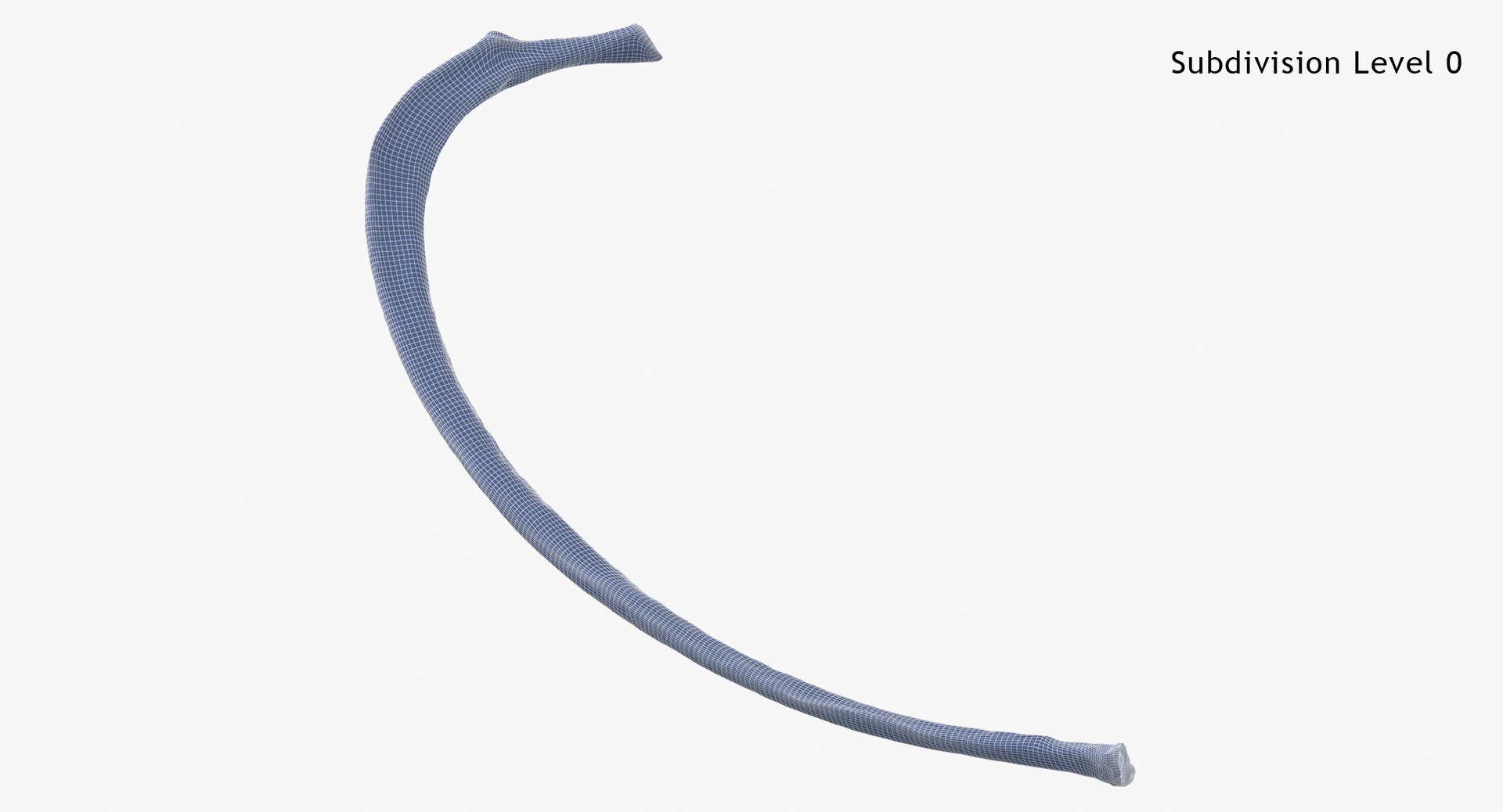 Kangaroo Red Necked Wallaby Rib T7 3D Model - TurboSquid 2069486