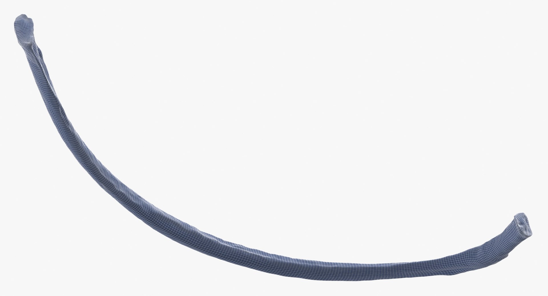 Kangaroo Red Necked Wallaby Rib T7 3D Model - TurboSquid 2069486