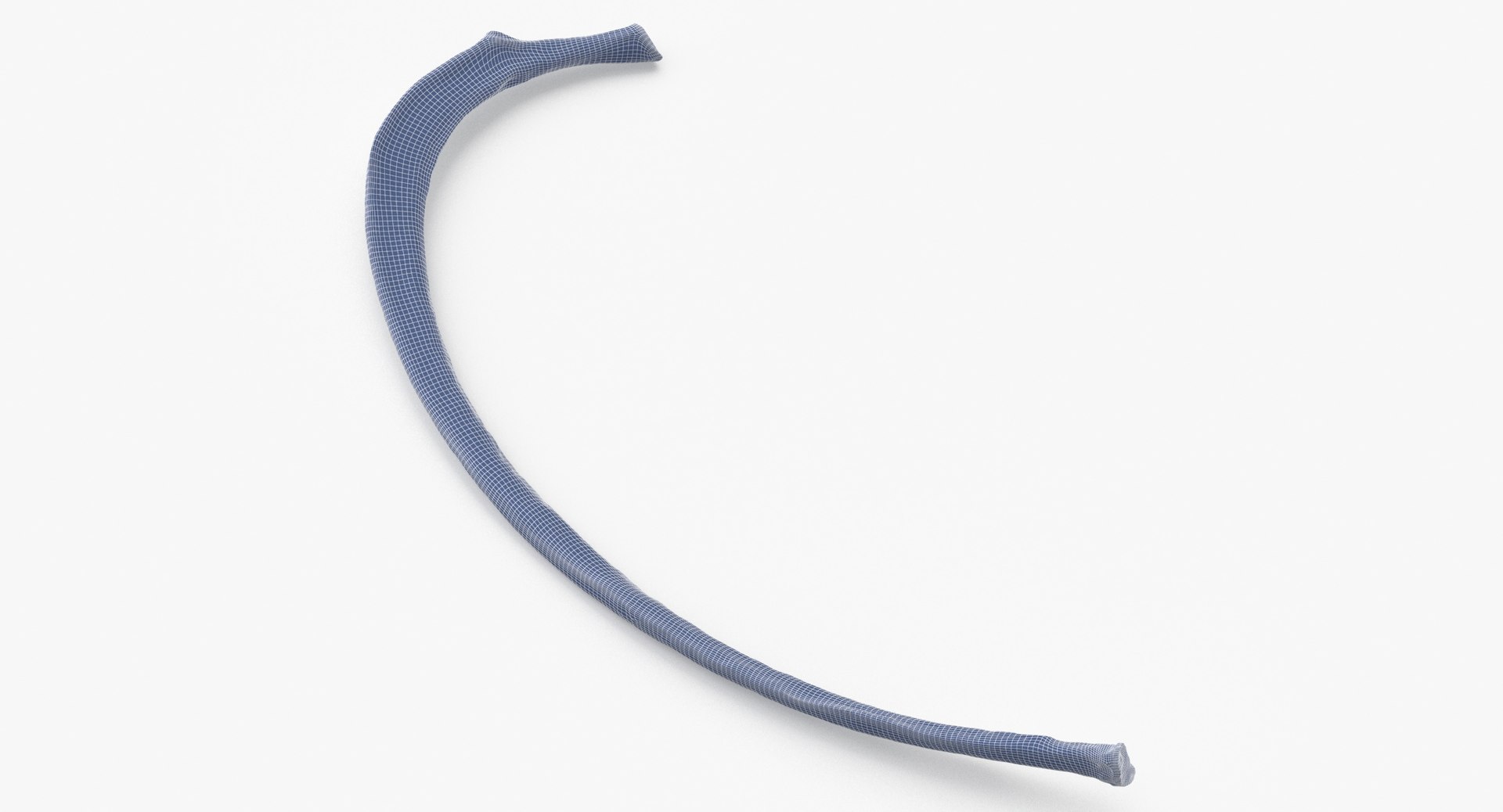 Kangaroo Red Necked Wallaby Rib T7 3D Model - TurboSquid 2069486