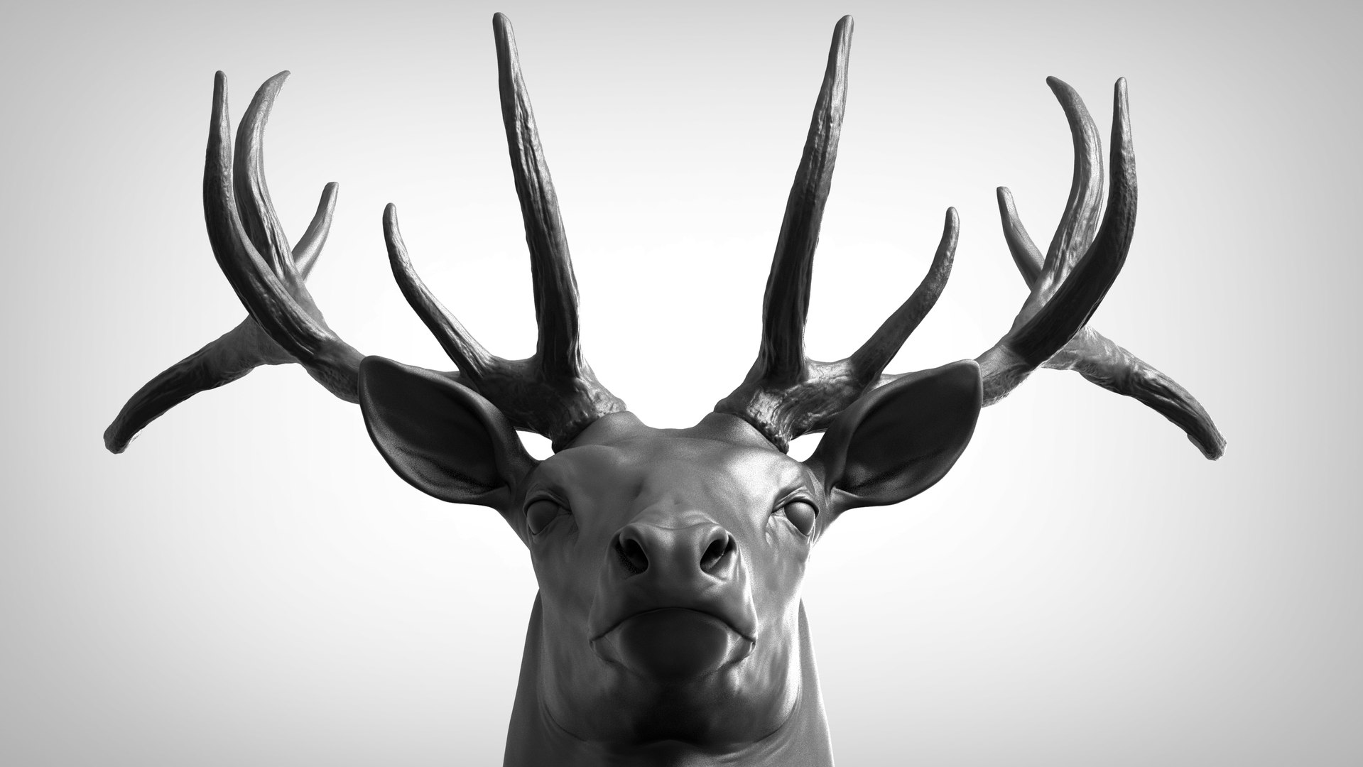 3D reed deer stag elk model - TurboSquid 1414066