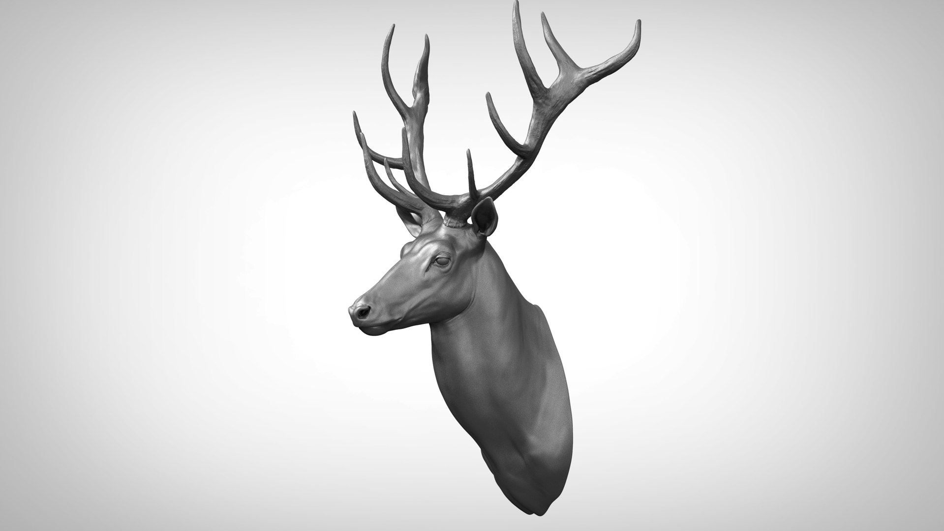 3D reed deer stag elk model - TurboSquid 1414066