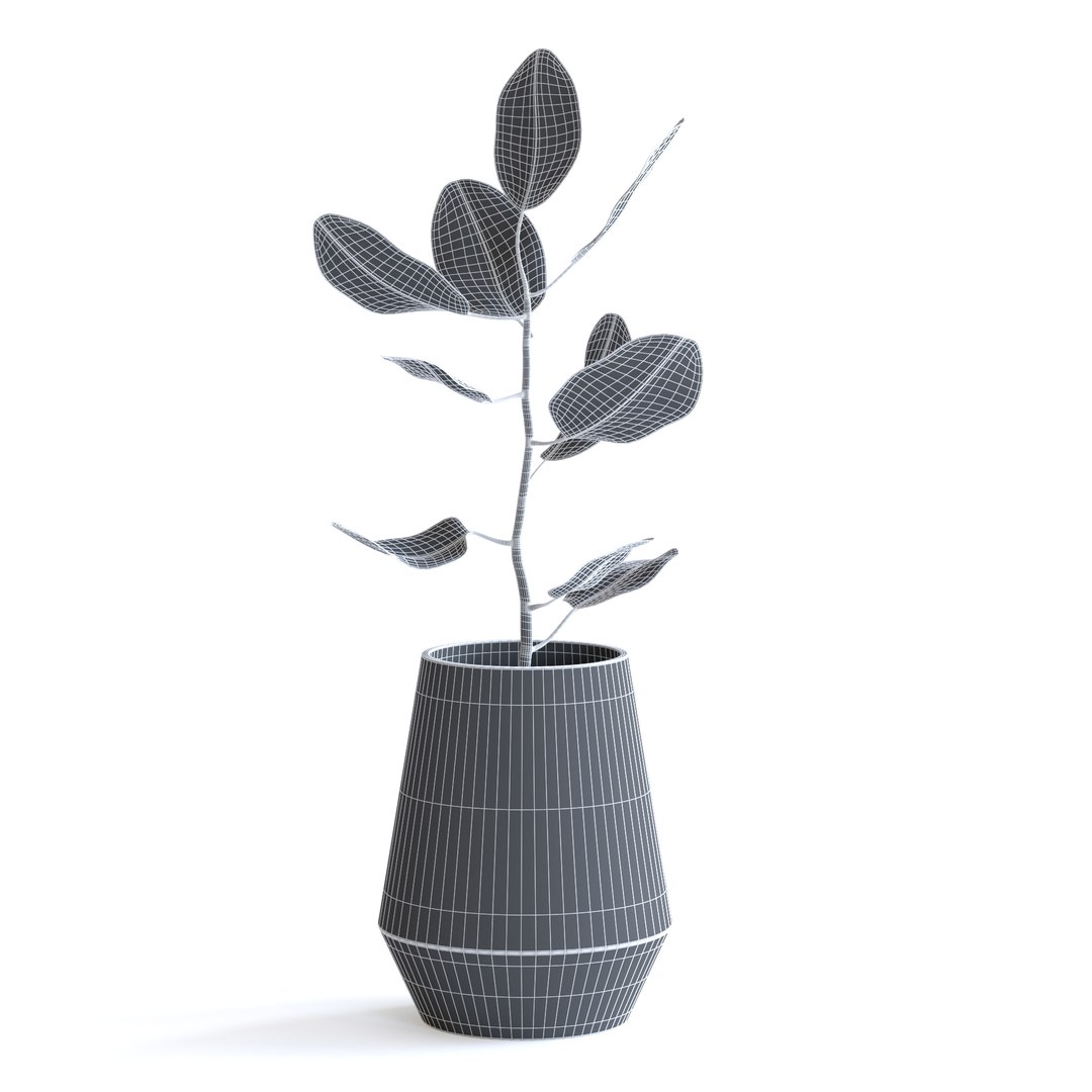 Ficus Plant II 3D Model - TurboSquid 1857420