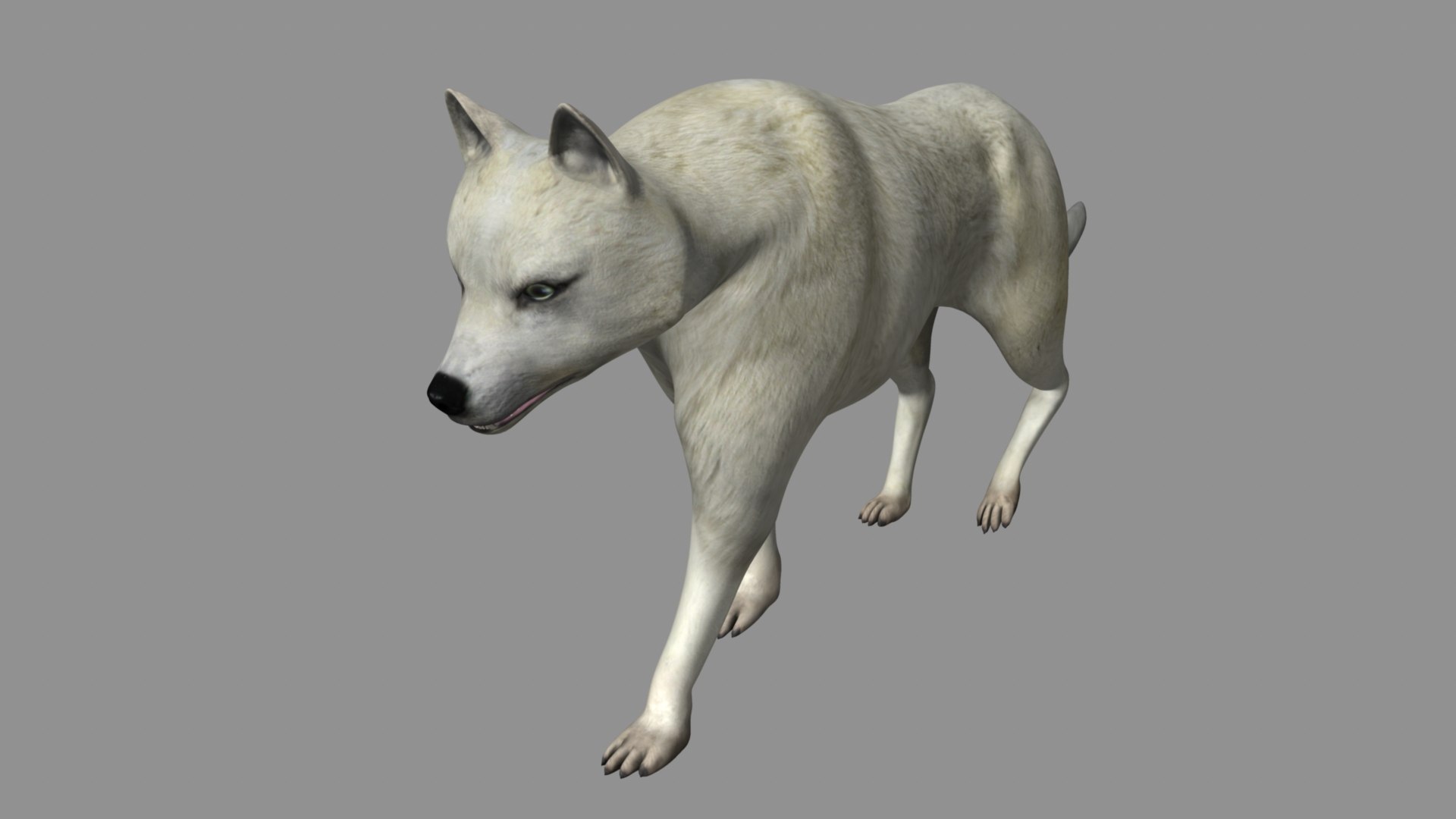 3D Model Wolf Walk - TurboSquid 2216888