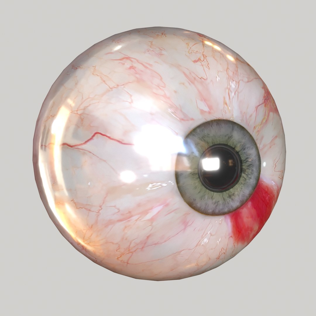 realistic human eye 3d model