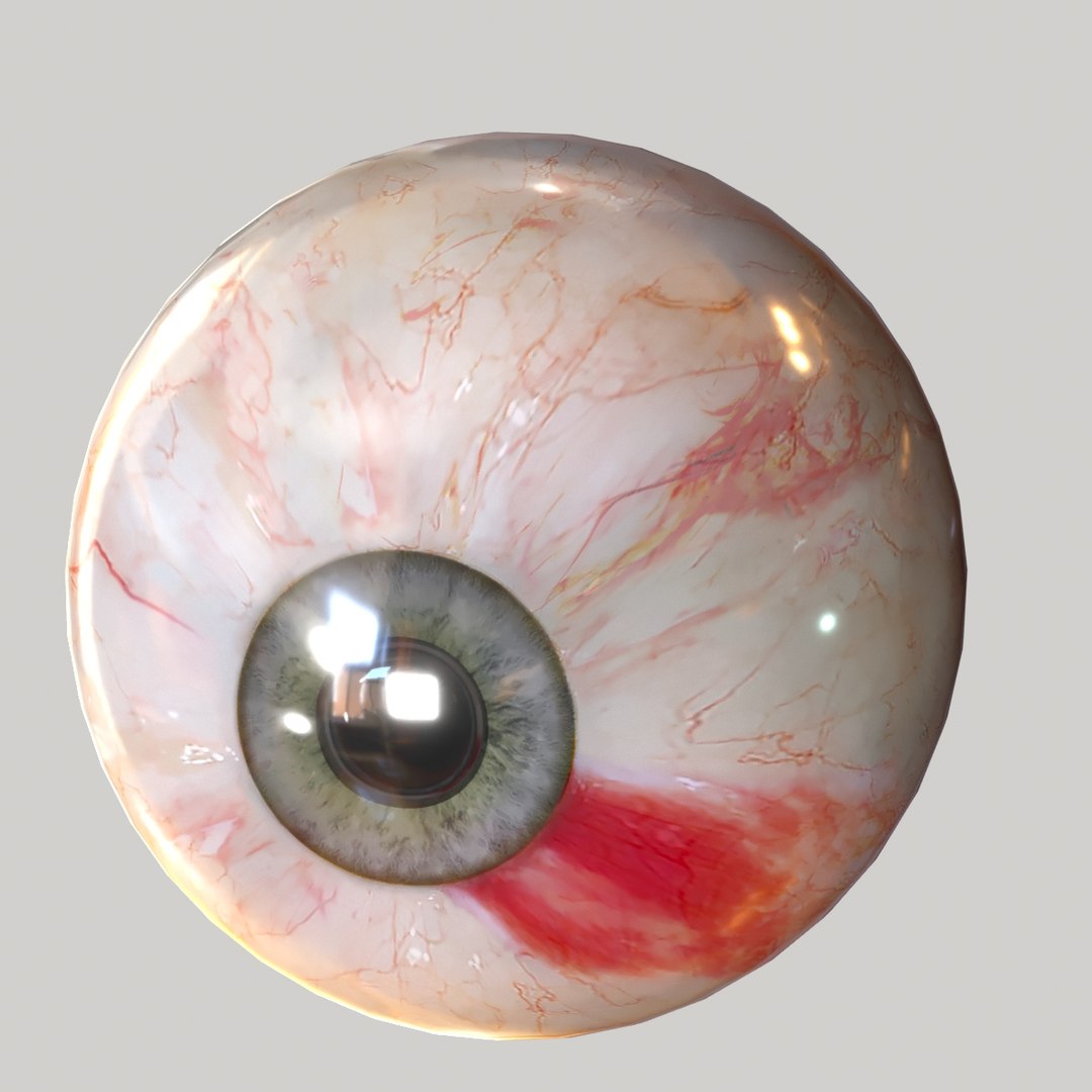 realistic human eye 3d model