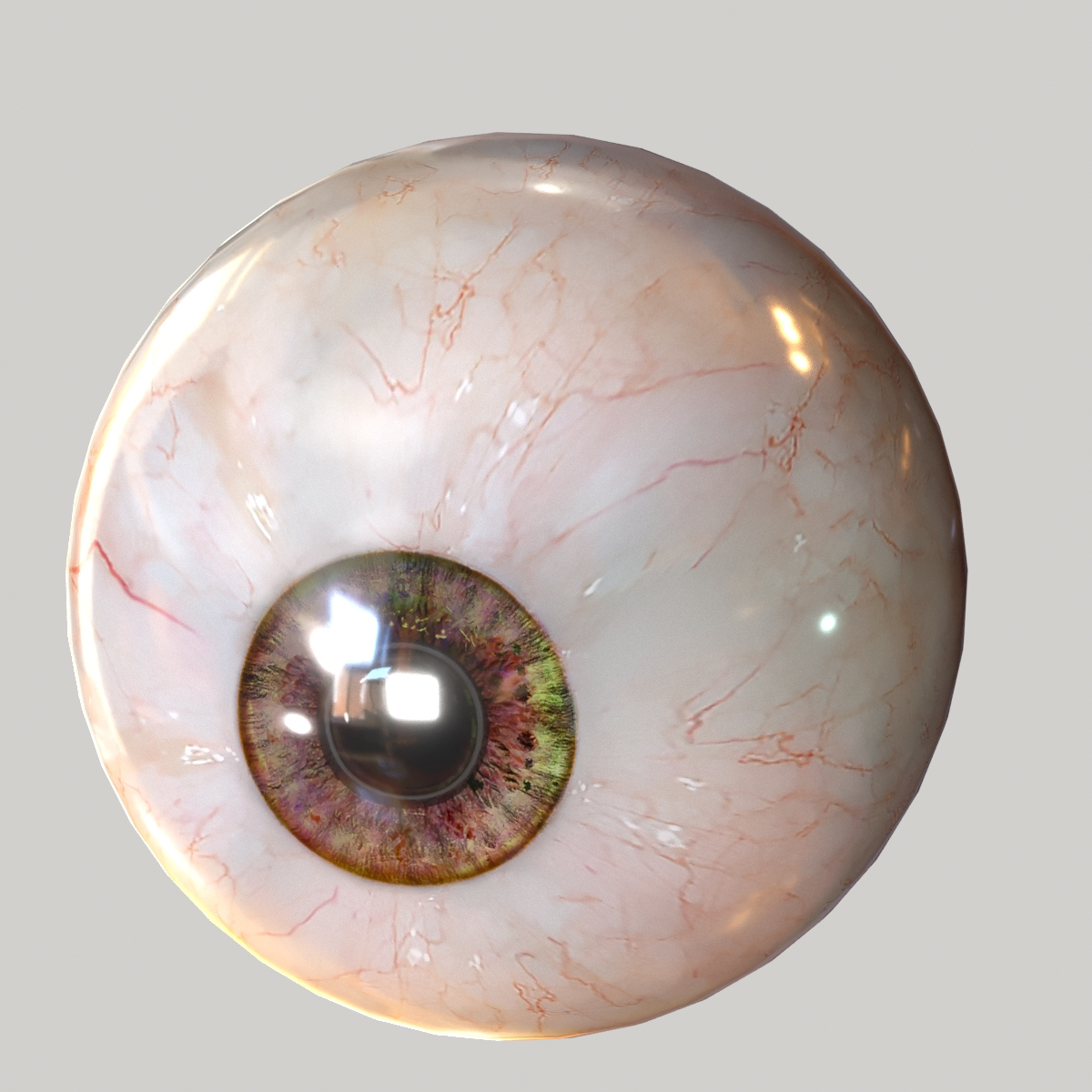 realistic human eye 3d model