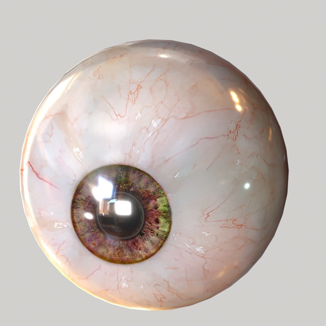 realistic human eye 3d model