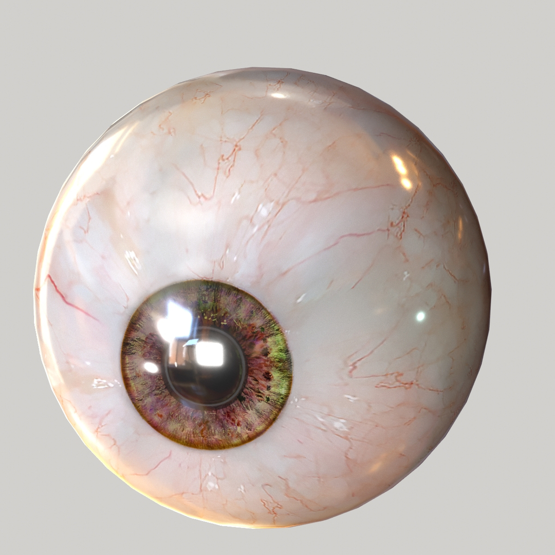 realistic human eye 3d model