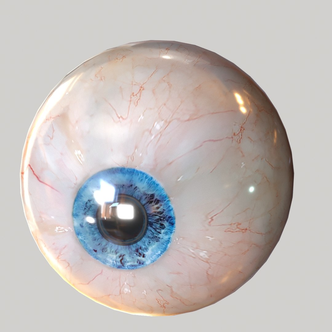 realistic human eye 3d model