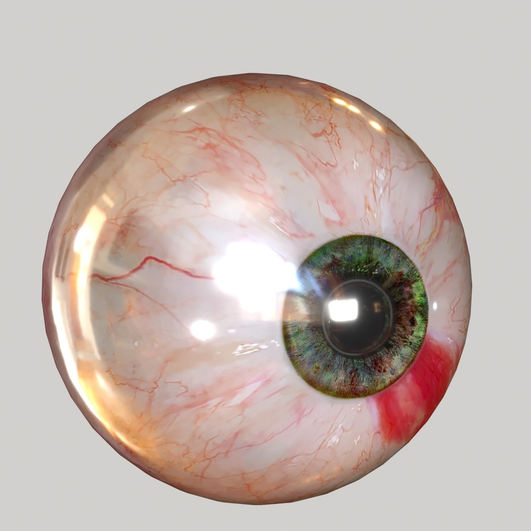 realistic human eye 3d model