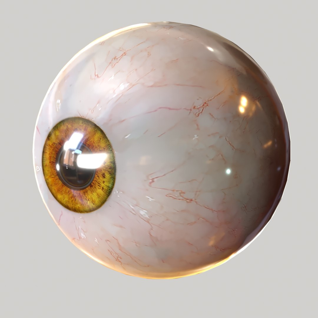Realistic Human Eye 3d Model