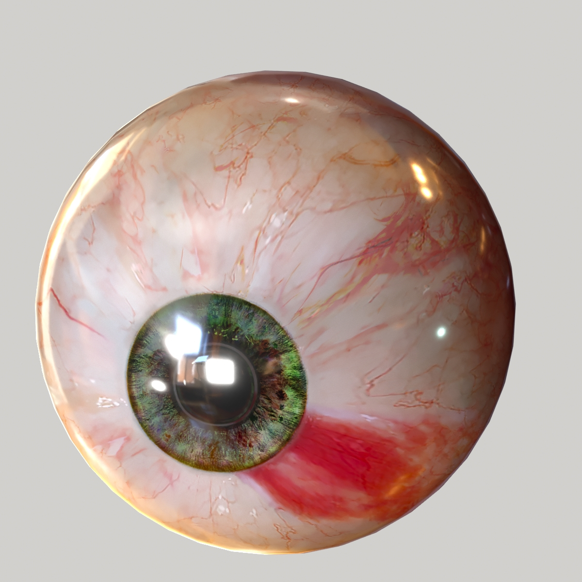 realistic human eye 3d model