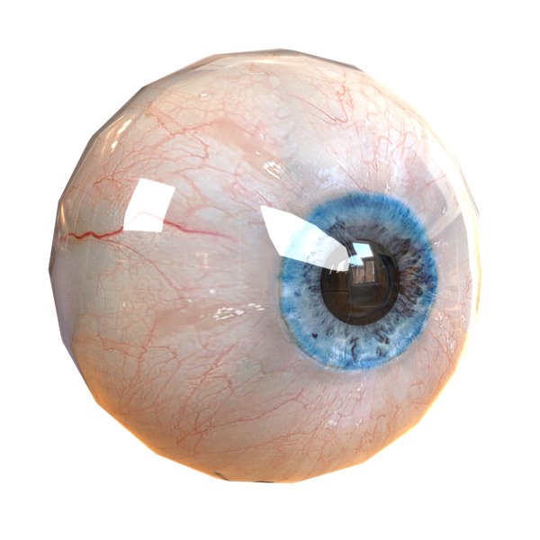 realistic human eye 3d model