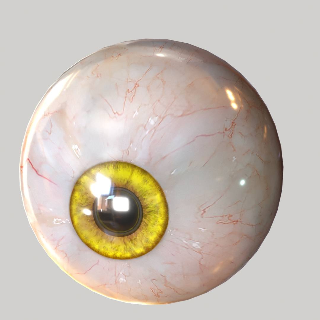 realistic human eye 3d model