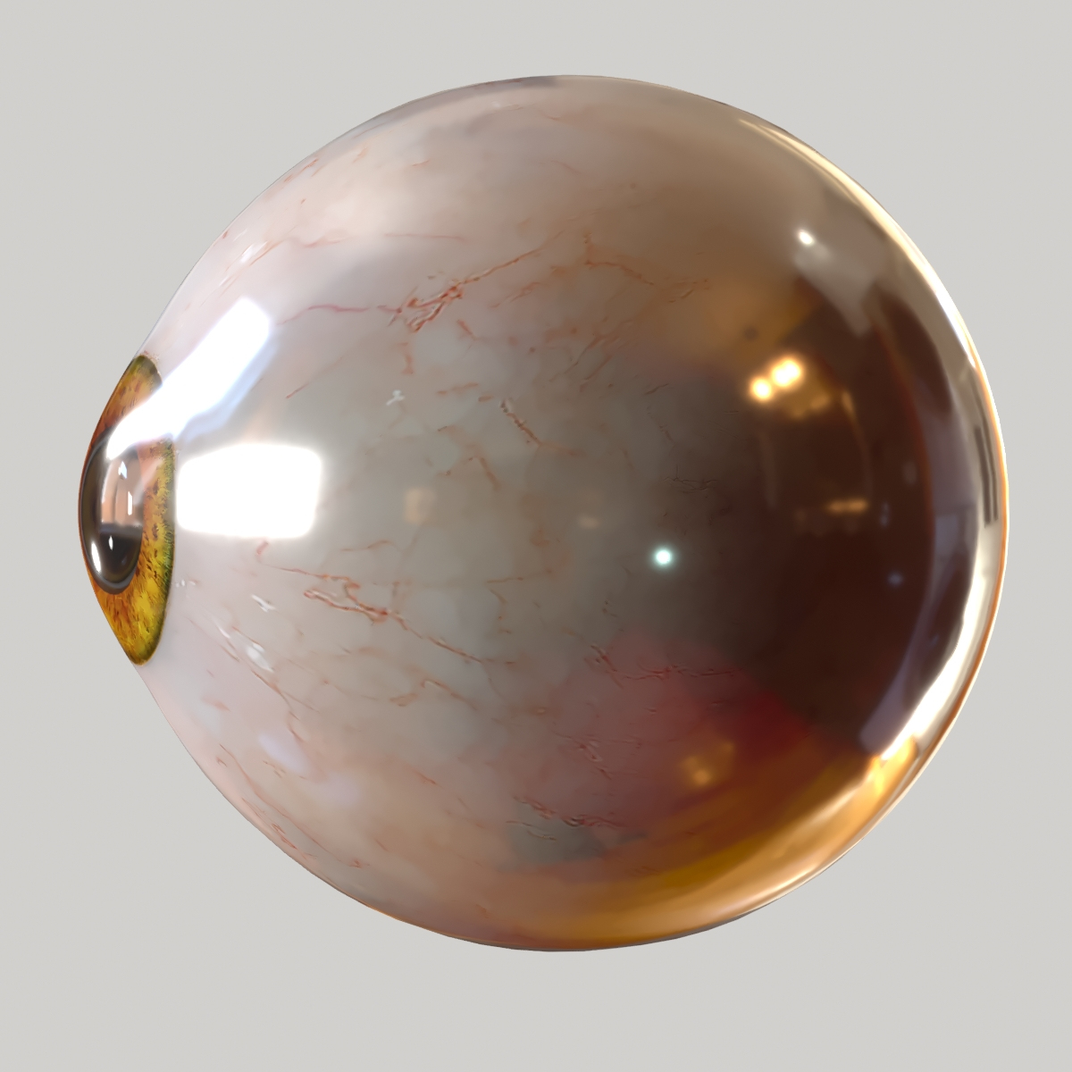 realistic human eye 3d model