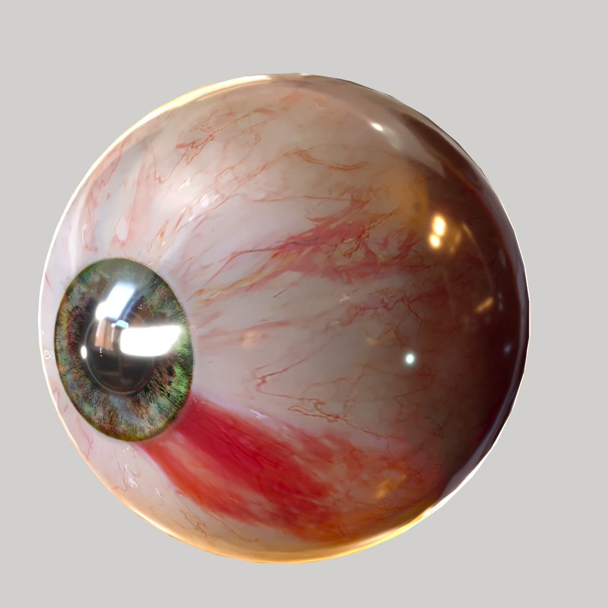 realistic human eye 3d model