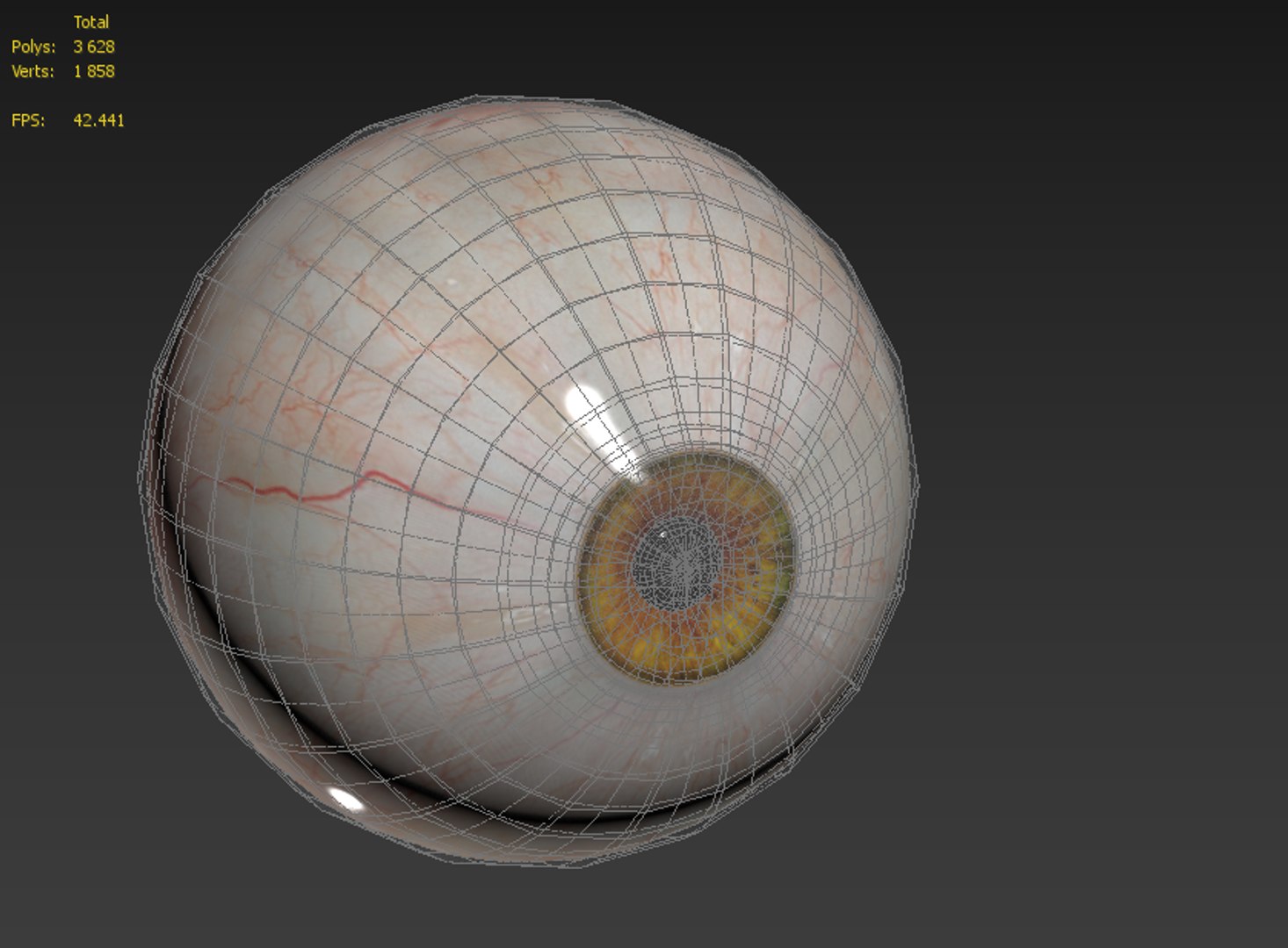 realistic human eye 3d model