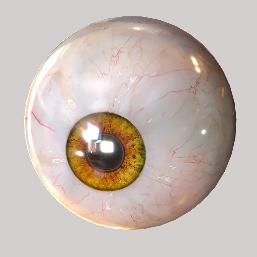 realistic human eye 3d model