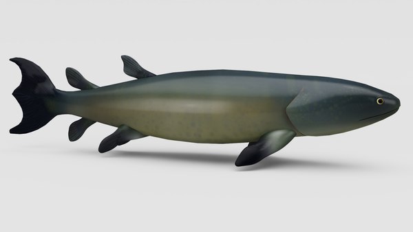 Eusthenopteron Fish 3D - TurboSquid 2011261