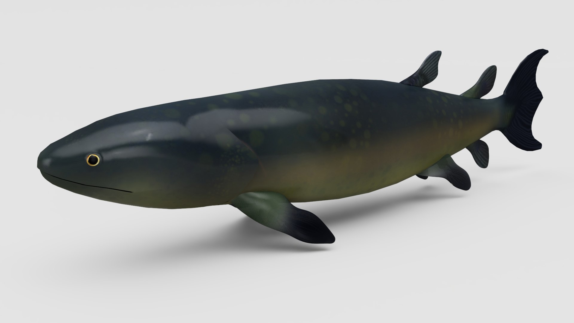 Eusthenopteron Fish 3D - TurboSquid 2011261