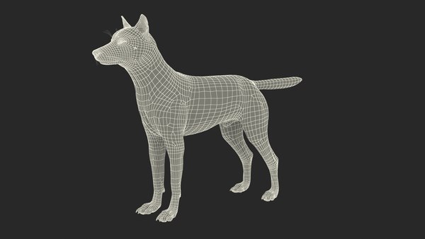 modelo 3d Lobo preparado para Maya - TurboSquid 2250548