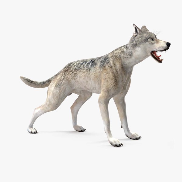 Wolf 3D Models for Download | TurboSquid