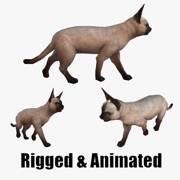 modelo 3d animated siamese cat - TurboSquid 1947384